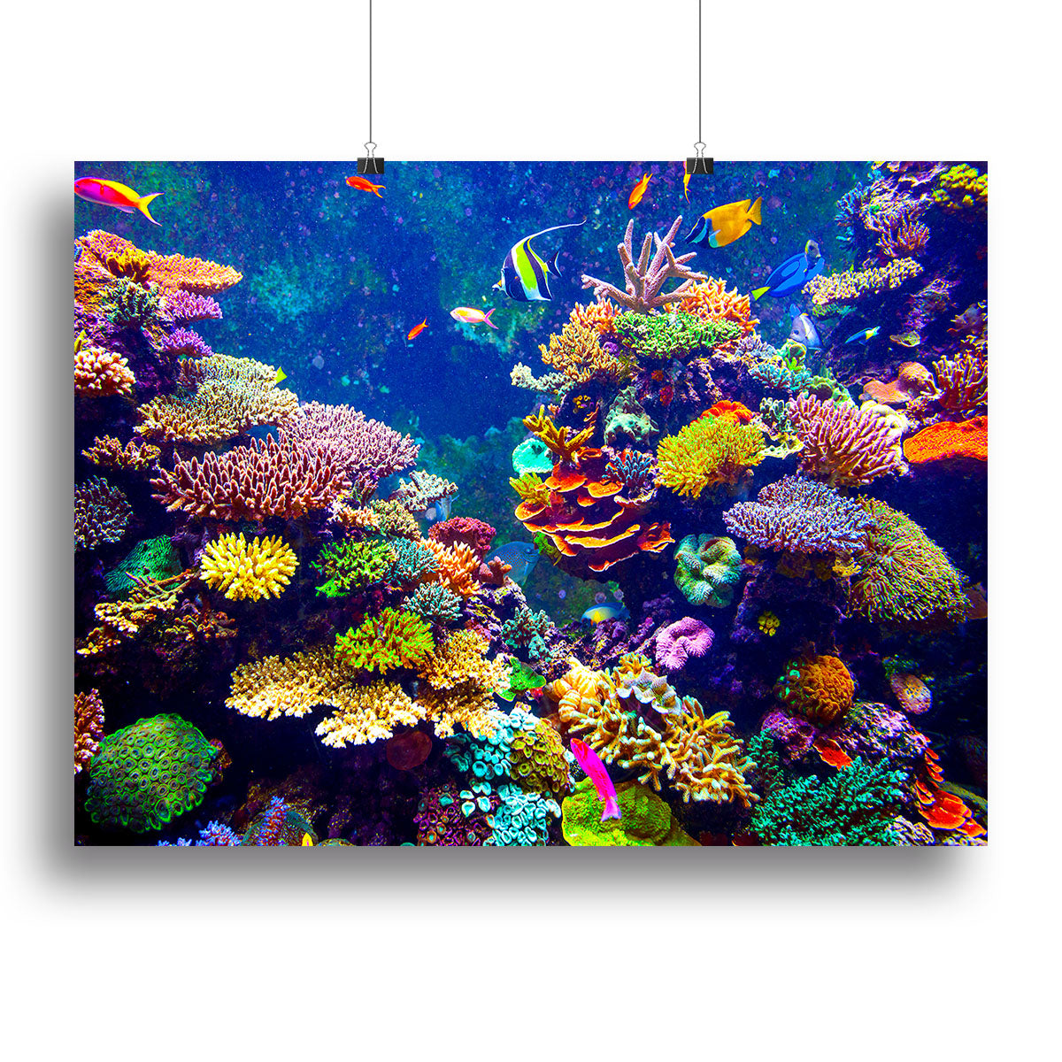 Coral Reef and Tropical Fish Canvas Print or Poster | Canvas Art Rocks