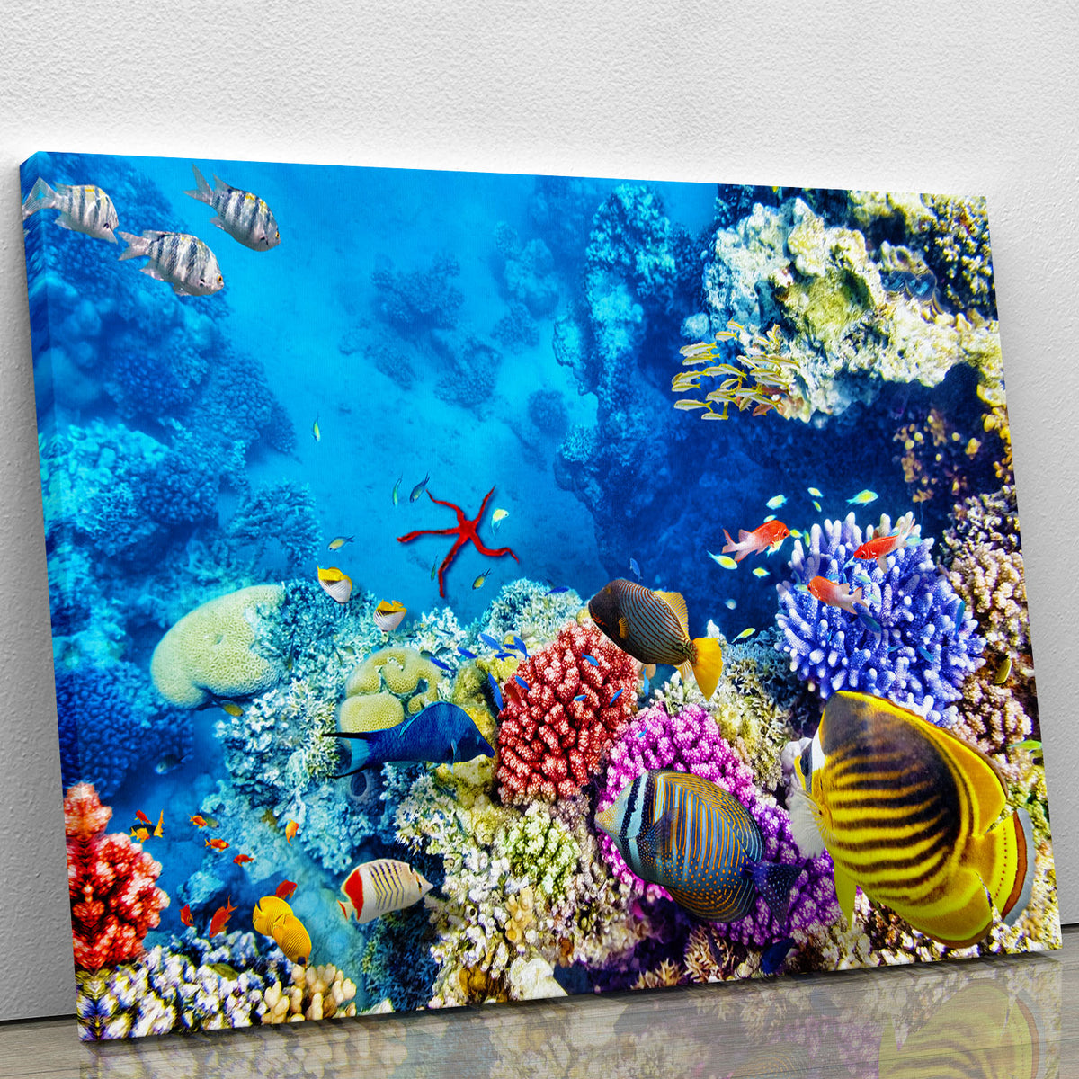 Tropical fish Canvas Print | Canvas Art Rocks