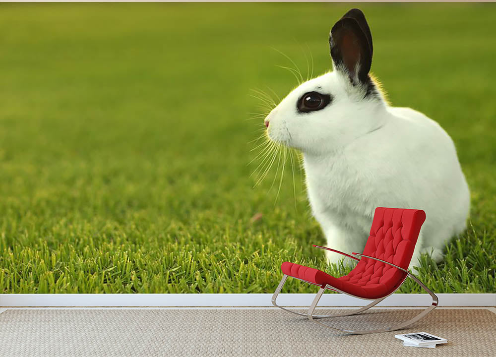 Adorable White Bunny Rabbit Wall Mural Wallpaper | Canvas Art Rocks