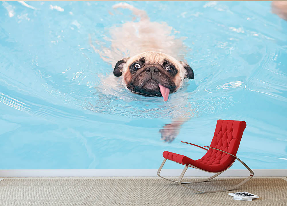 Close-up a cute dog puppy Pug Wall Mural Wallpaper | Canvas Art Rocks