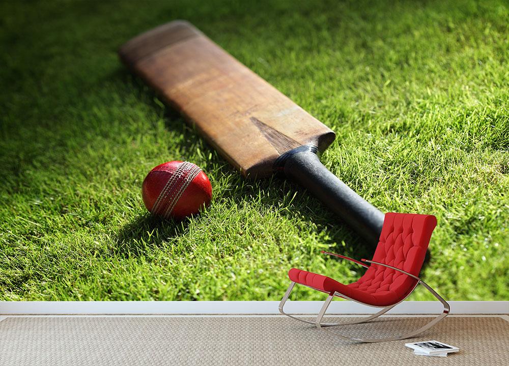 Cricket bat and ball on green grass Wall Mural Wallpaper | Canvas Art Rocks