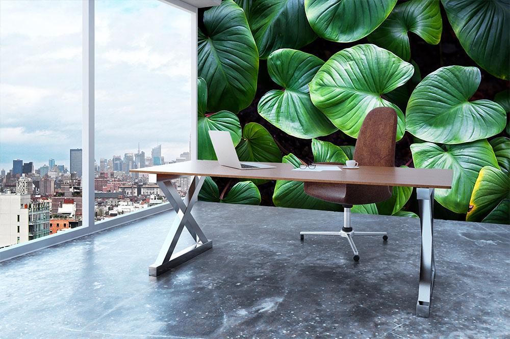 Green plant Wall Mural Wallpaper | Canvas Art Rocks