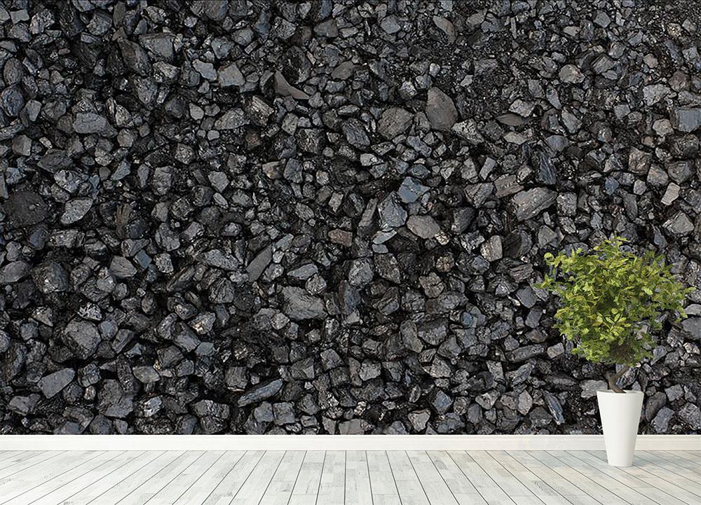Pile of coal texture Wall Mural Wallpaper | Canvas Art Rocks