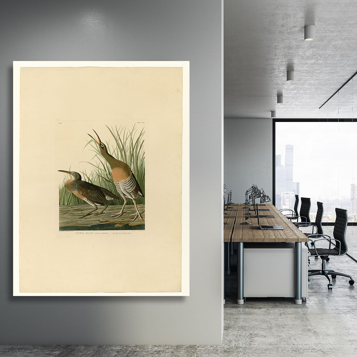 Salt Water Marsh Hen by Audubon Canvas Print or Poster | Canvas Art Rocks
