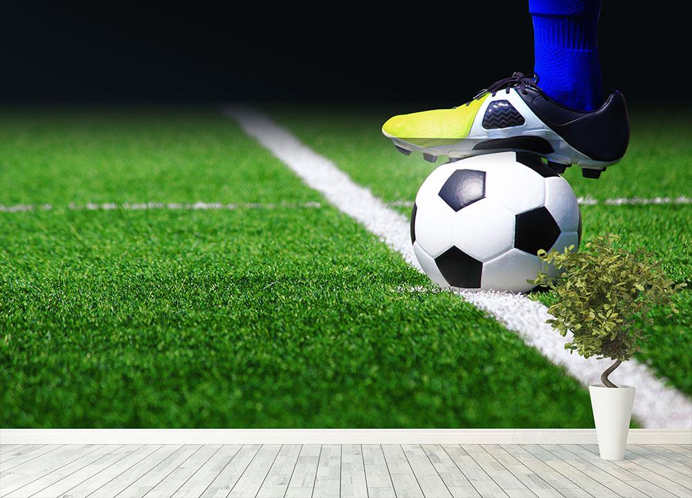 Soccer ball on field Wall Mural Wallpaper | Canvas Art Rocks