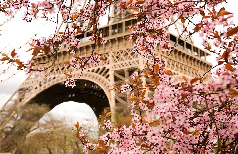 Spring in Paris Wall Mural Wallpaper | Canvas Art Rocks