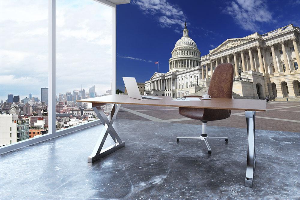 US Capitol Washington DC Wall Mural Wallpaper | Canvas Art Rocks