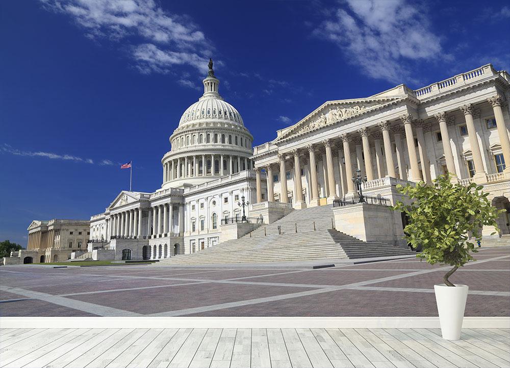 US Capitol Washington DC Wall Mural Wallpaper | Canvas Art Rocks