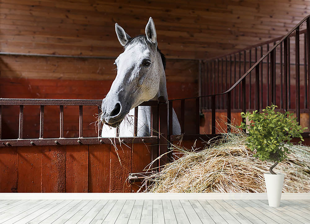 Horse Barn Wallpaper