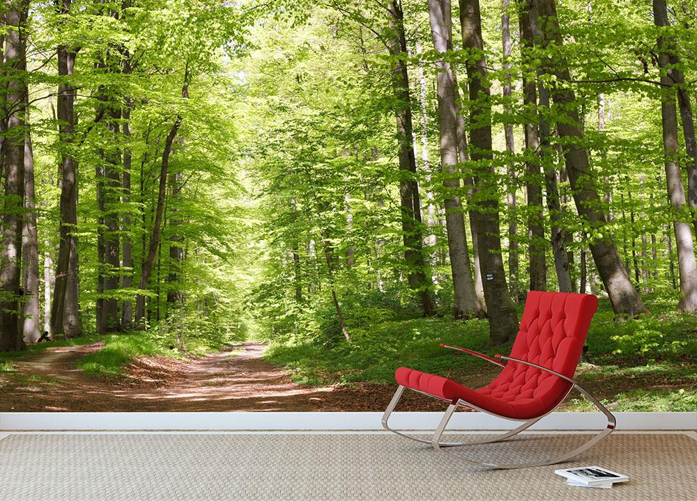forest during spring Wall Mural Wallpaper | Canvas Art Rocks